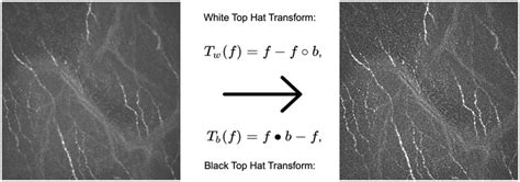 Example Of An Original Image Left Subject To The Top Hat And Black Download Scientific