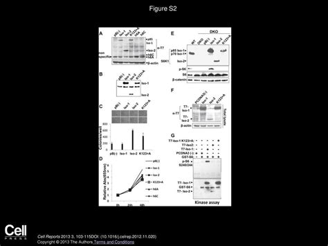 Volume 3 Issue 1 Pages January 2013 Ppt Download