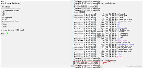 【mysql】—— 数据库的操作查看数据库信息、字符集、校验规则 Csdn博客