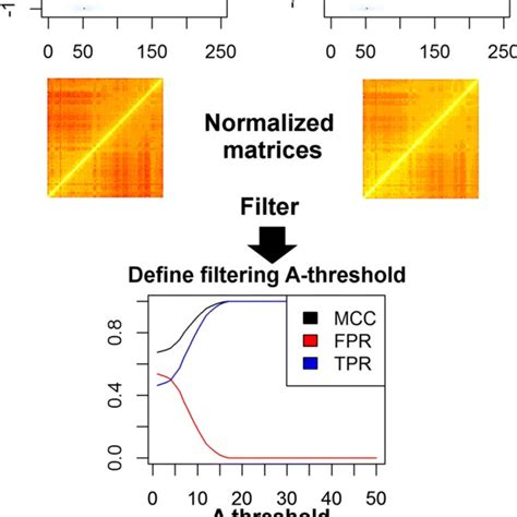 hiccompare flow chart processed hi c libraries in the form of sparse download scientific