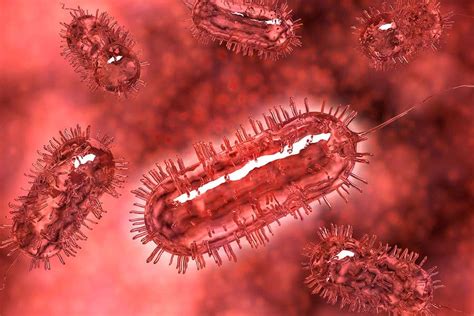 Silver Uses A Surprising Trick To Stop The Spread Of Bacteria New