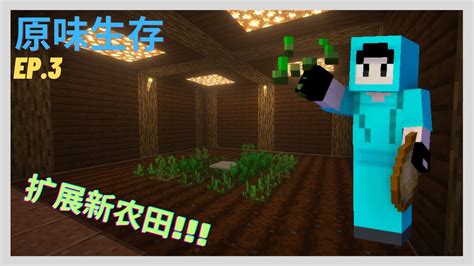【minecraft原味生存】3 扩展农田地下养植物 Youtube