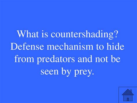 Morphology Structures Senses Anatomy Wild Card 10 Pt 10 Pt 10 Pt 10 Pt Ppt Download