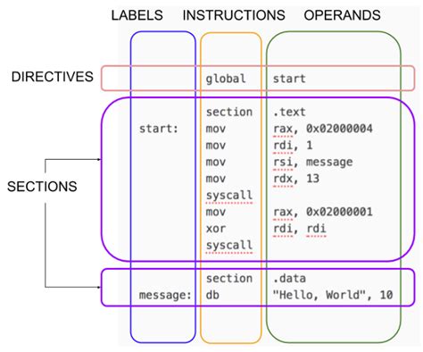 NASM 概念与实战 踩坑记录