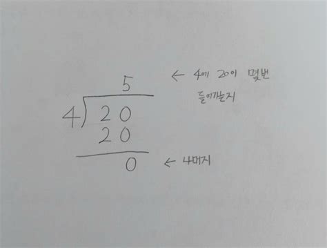 3학년 세로 나눗셈 하는 법 지식in