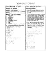 Exercise 12 Lab Answers Docx Lab Exercise 12 Answers Exercise 12