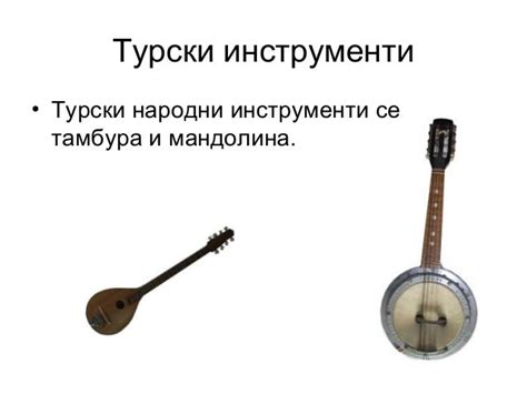 етнички заедници во р м Teodora