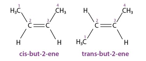 Cis And Trans Isomers Definition Properties Identification Examples Biology Notes Online