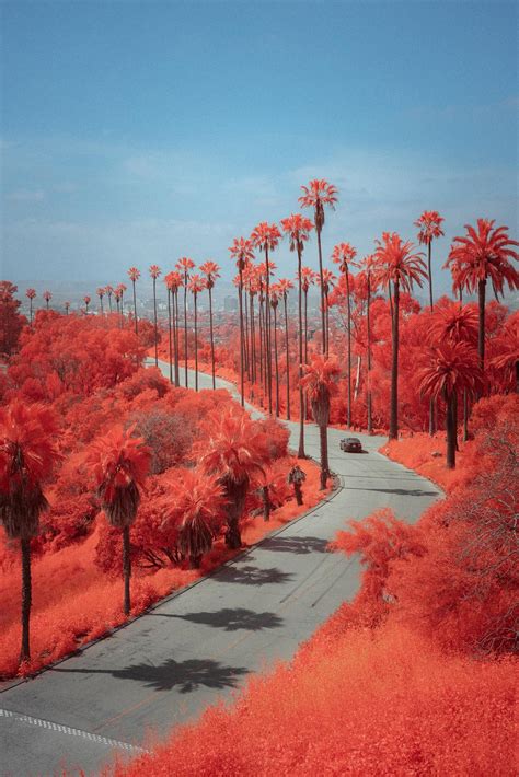 Los Angeles Shot Using The IR Chrome Lite Filter