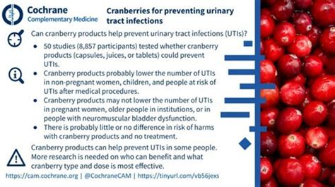 Cranberries For Preventing Urinary Tract Infections Iscmr