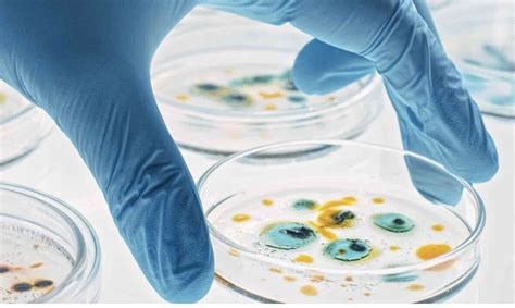 Veronica H On Linkedin Deep Mutational Scanning Of Essential