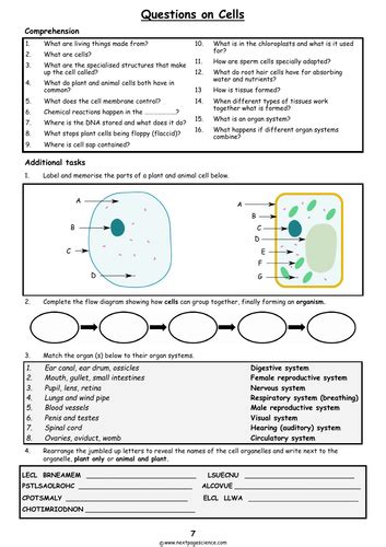 Cells Teaching Resources