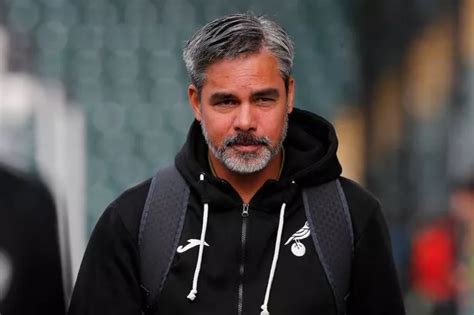 Ex Huddersfield And Norwich Boss David Wagner A Contender For Plymouth