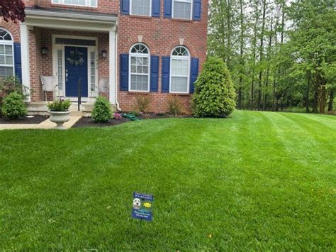 Lawn Care Coupons Affordable Lawn Care In Maryland Organic Lawns