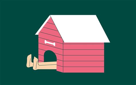 Skurrile Fälle Aus Der Medizin Sex Mit Dem Hund Ist Trotz Verboten