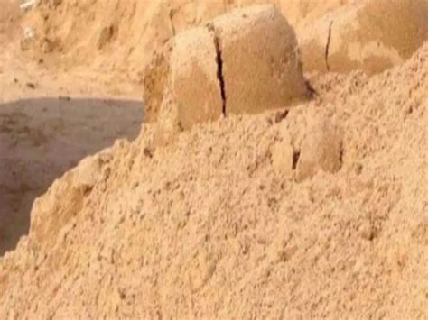 Bihar Cag Report Big Forgery Found In E Challan Sand Carried By Bike