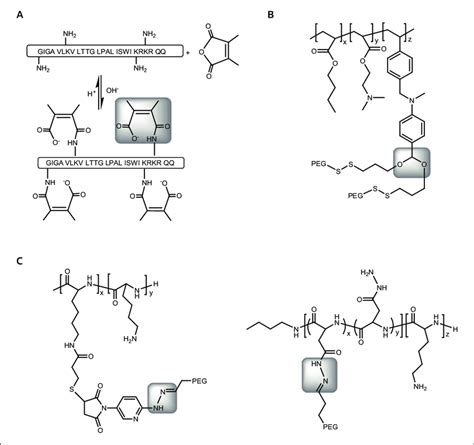 Acidic Ph Sensitive Linkages And Polymers Used For Nucleic Acid