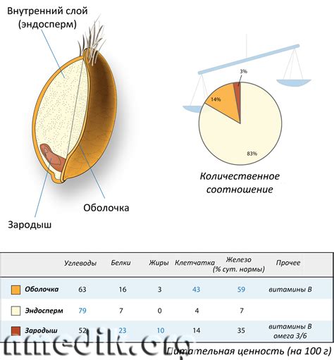 Отруби | nmedik.org