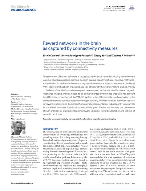 Pdf Reward Networks In The Brain As Captured By Connectivity Measures