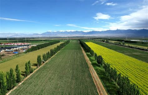 二师二十二团：农田连成片 风景连成线 胡杨网2023 兵团胡杨网 新疆兵团新闻门户