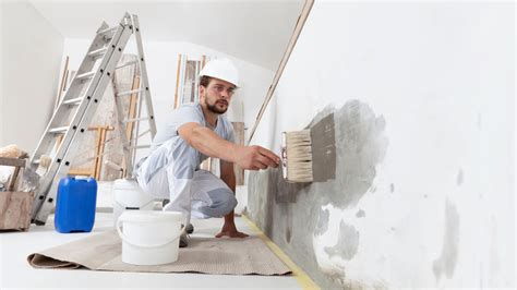 What Is Anti Mold Primer
