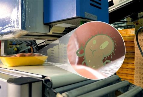 Air Compressor Blog And Advice Testing For Microorganisms In Compressed Air