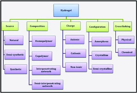 1 Schematic Illustration Of The Classification Of Hydrogel Download