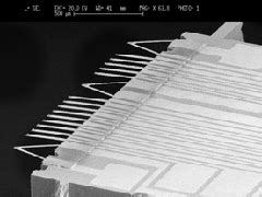 Probe Array Patterns And Images Nanoscale Features Tech Pulse Nov 2005 Photonics Spectra