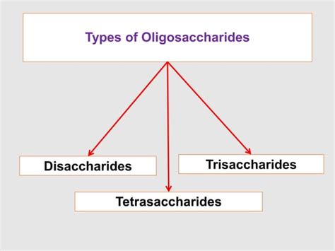 Classification Of Carbohydrate Part Ipptx