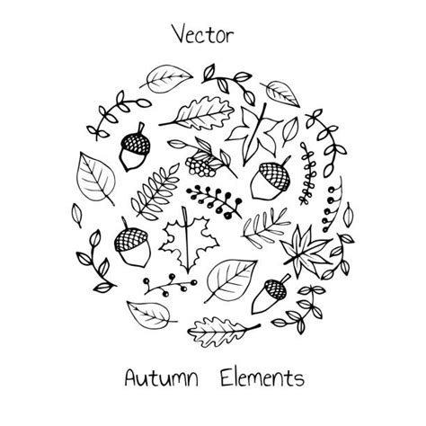 Fotografii De Stoc Fotografii și Imagini Scutite De Redevențe Cu Paltin De Munte Ilustrații