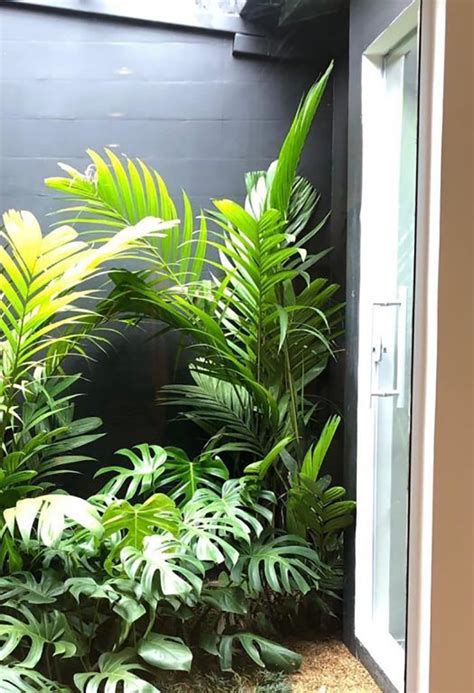 Blog Plaenge Saiba por que você deve ter um jardim de inverno no seu