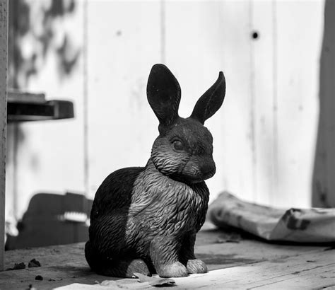 Premium Photo Close Up Of Artificial Rabbit On Table In Back Yard