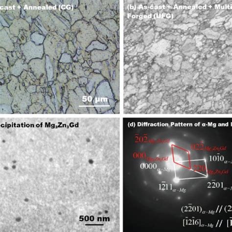 A Microstructure Of As Cast Annealed Alloy Coarse Grained Cg Alloy Download Scientific