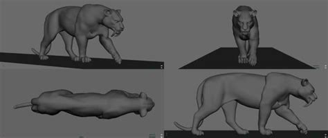 [video] Siddalingesh Chappalagavi On Linkedin Walkcycle Maya