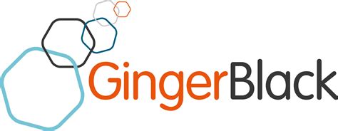 Contact Us Ginger Black Data Scientists And Management Consultant