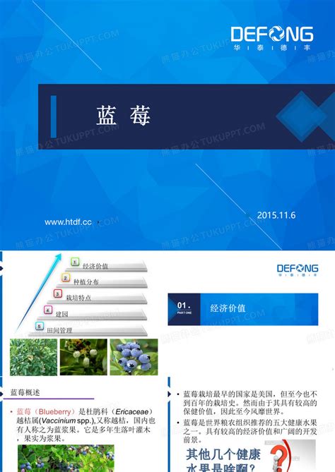 蓝莓ppt模板下载编号qxddrrnv熊猫办公