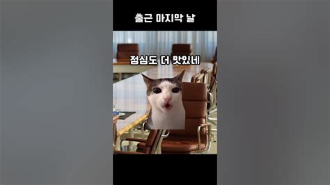 출근 마지막 날 고양이 고양이밈 Cat 퇴사 Youtube
