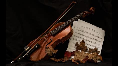 Vivaldi Double Cello Concerto YouTube