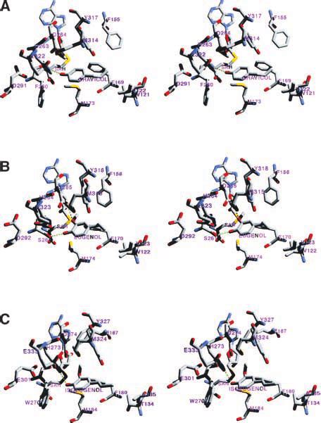 Stereo Views Of The Three Dimensional Structures Of The Active Sites Of Download Scientific