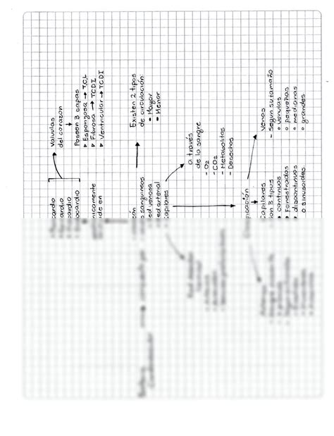 Solution Cardiovascular System Summary Studypool