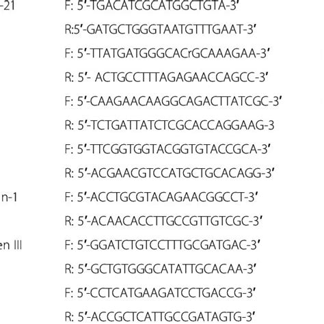 Primer Sequences For The Genes To Validate Microarray Analysis By