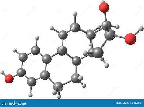 Hormones Produced By The Parathyroid Gland Parathyroid Hormone Pth