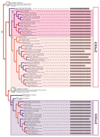 Ijms Special Issue Plant Genomics 2019