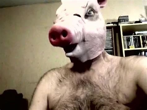 Oinking Pig Gay Man Porn Xhamster