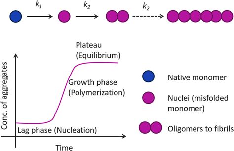 Schematic Representation Of Molecular Aggregation Pathway And The Download Scientific Diagram