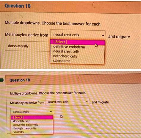 Question Multiple Dropdowns Choose The Best Answer For Each