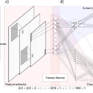 Schematics Of The TL Approach Used Here A The Input Signal And Its Download Scientific
