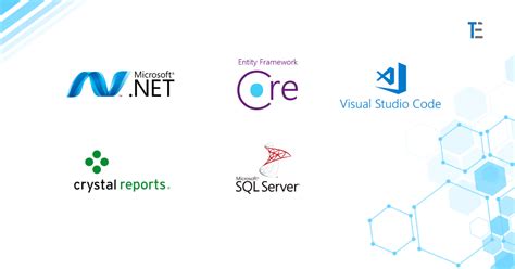 we offered our custom software development services to a reputed