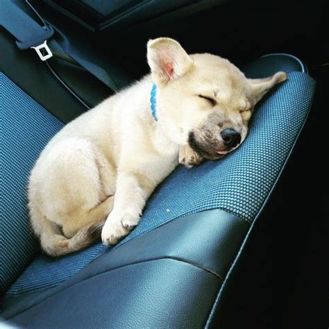 Lionel Messi And Friends On Instagram “knocked Out Liothechowsky