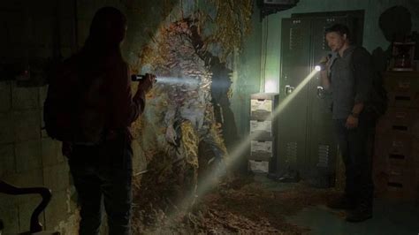 The Last Of Us Fungo Zumbi Da Série Existe Na Vida Real Entenda